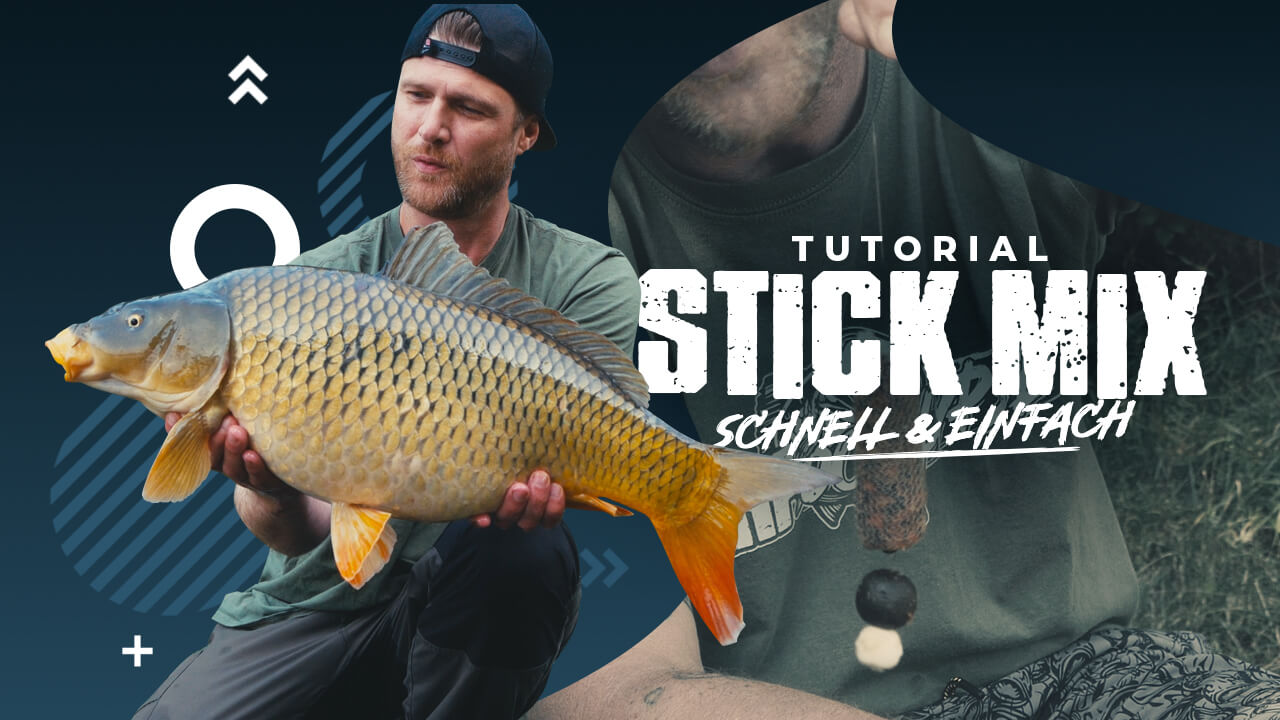 Schnell und einfach: mit Stick Mix zum Fisch | TUTORIAL